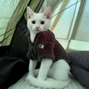 The Seasons RP - Community Driven Roleplay